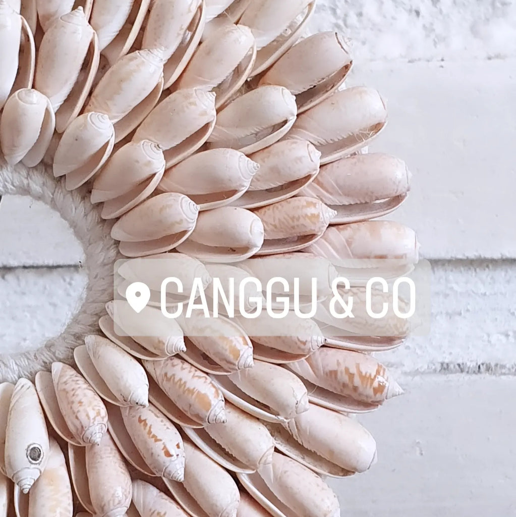 Round Sea Shell Decoration – Canggu & Co