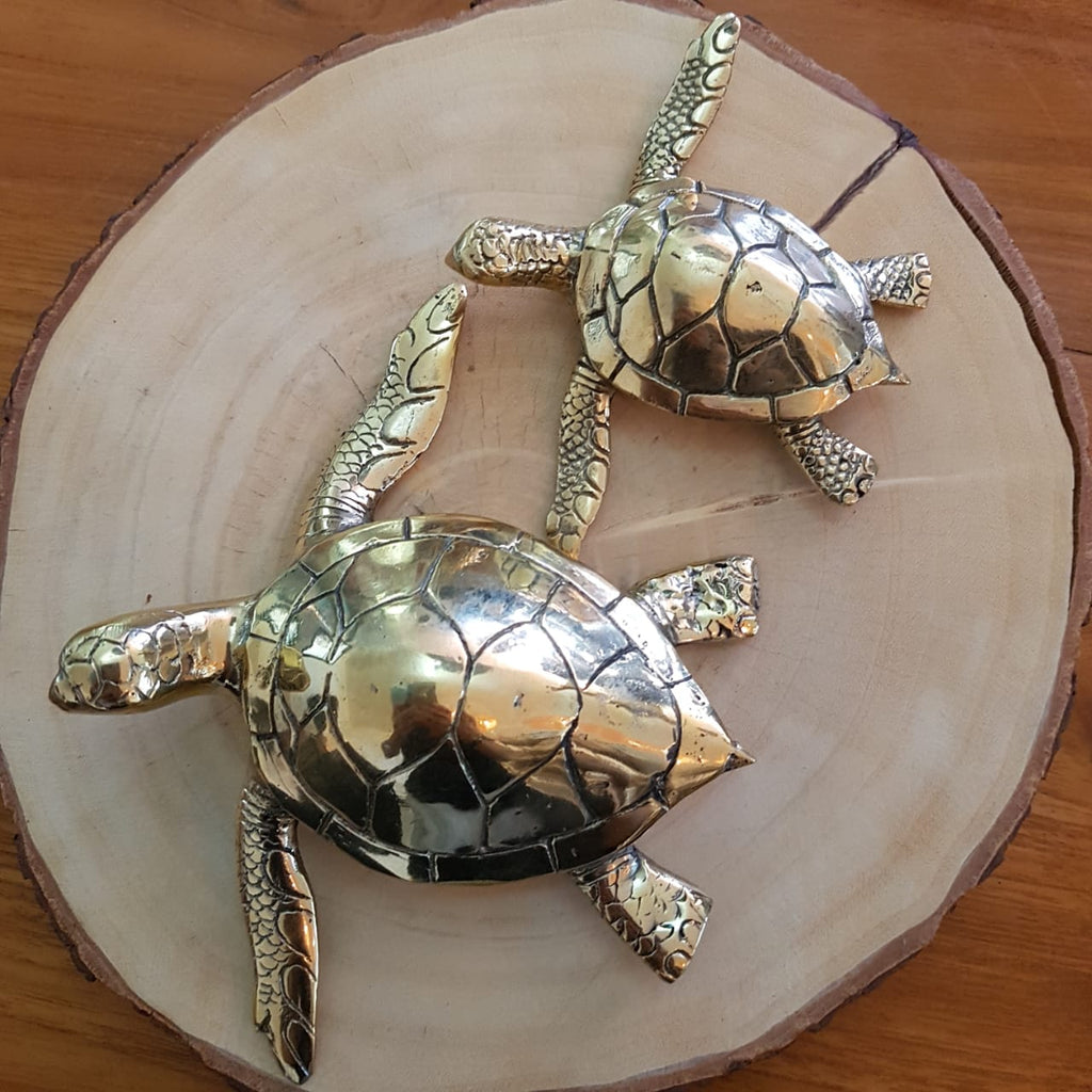 Brass Figurine Sea Turtles – Canggu & Co