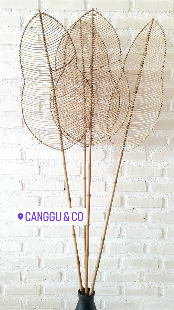 Frond Leaf Banana Skeleton Decoration – Canggu & Co