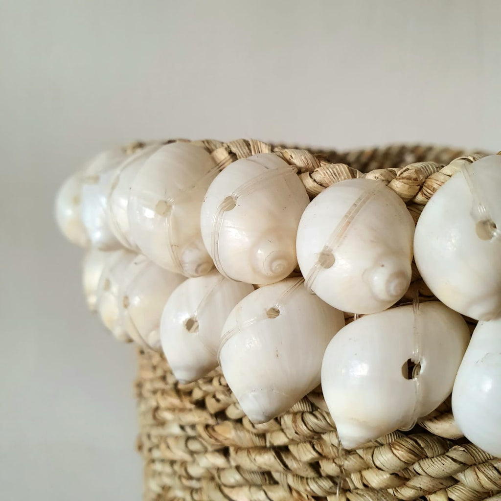 Set 3 Round Small Water Hyacinth & Sea Shell Basket – Canggu & Co