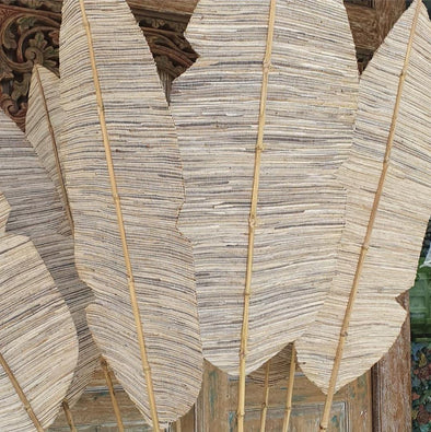 Exotic Tall Banana Leaf Fronds – Canggu & Co