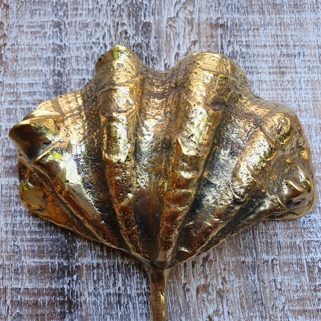 Golden Brass Kima Clamshell Hooks – Canggu & Co