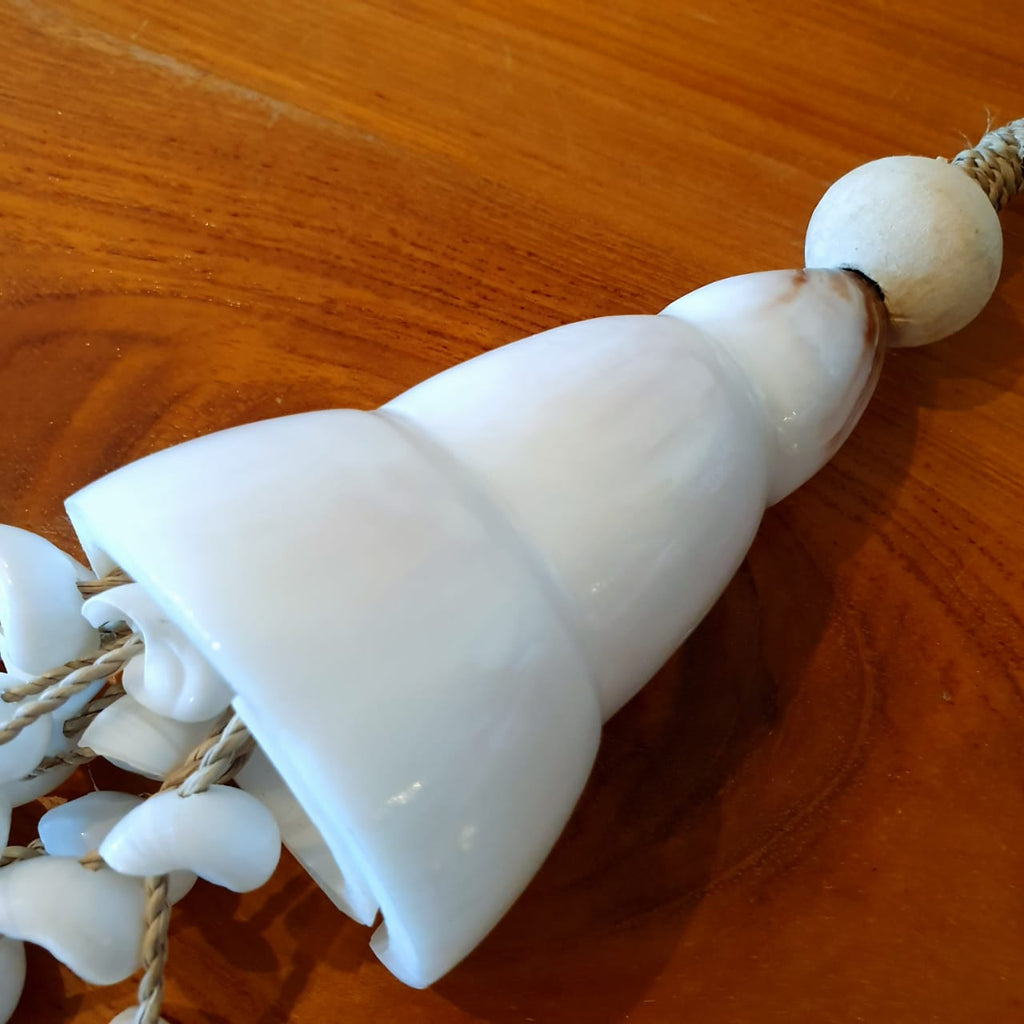 Long Shell & Bead Tassels With Shell Strands – Canggu & Co