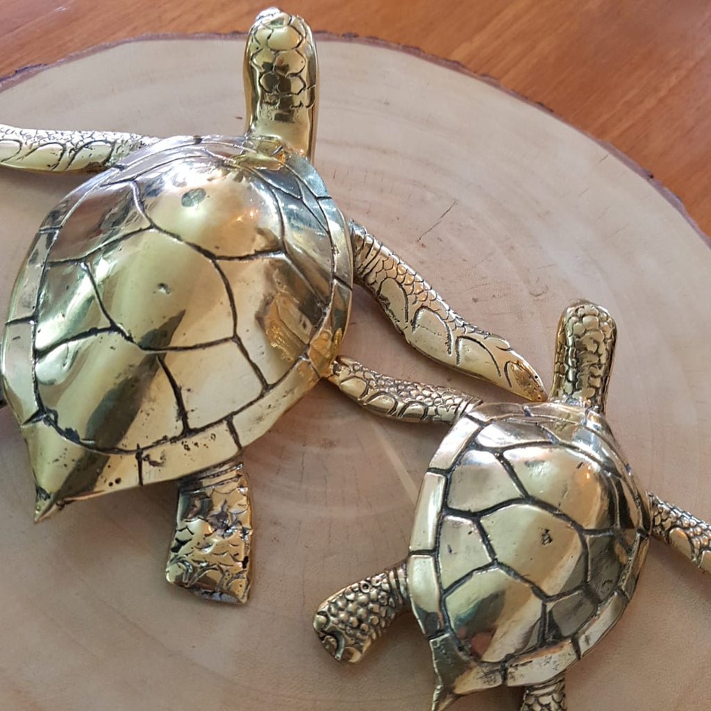 Brass Figurine Sea Turtles – Canggu & Co