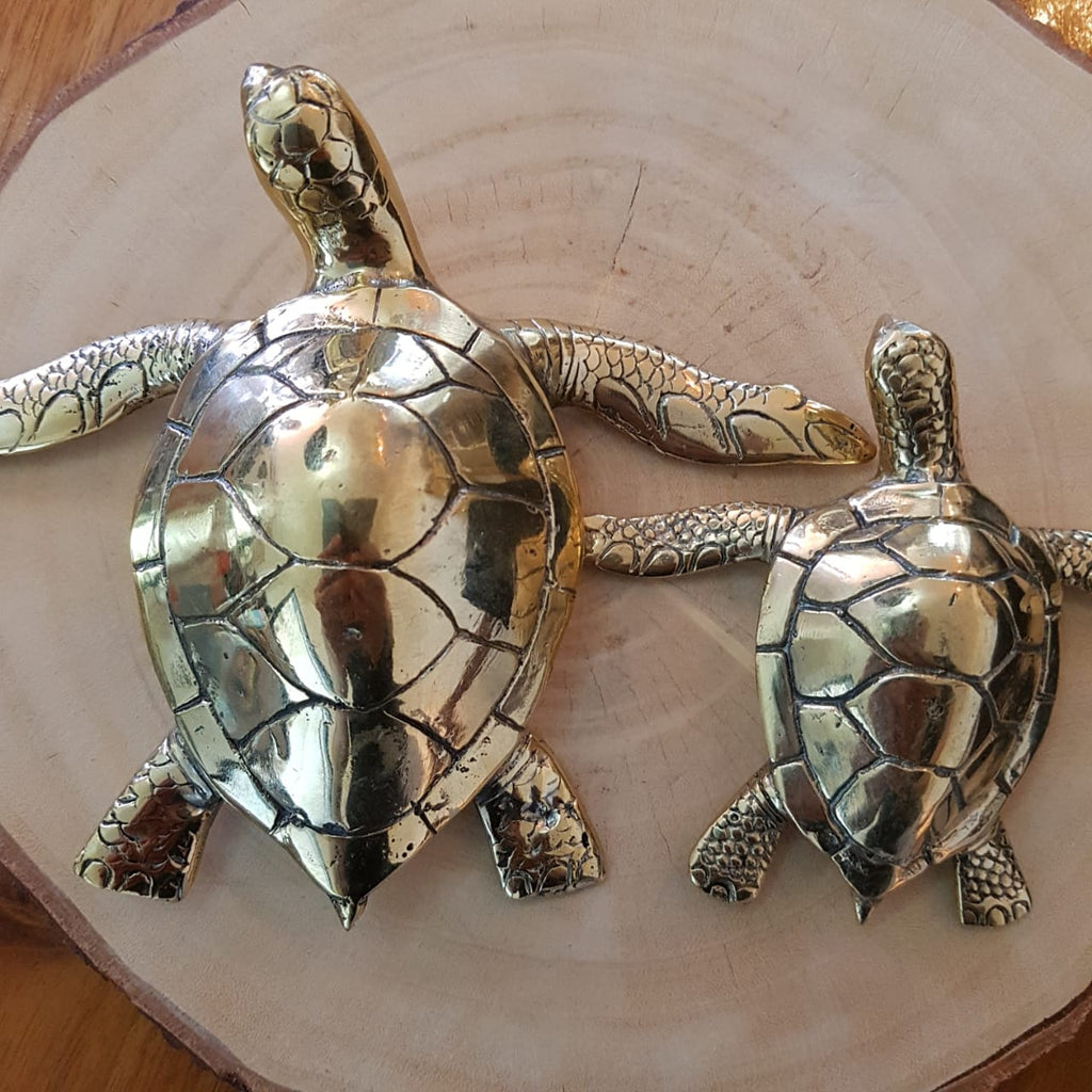 Brass Figurine Sea Turtles – Canggu & Co